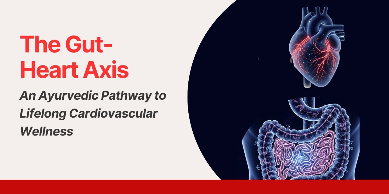 Gut-Heart Axis in Ayurveda for Heart Health